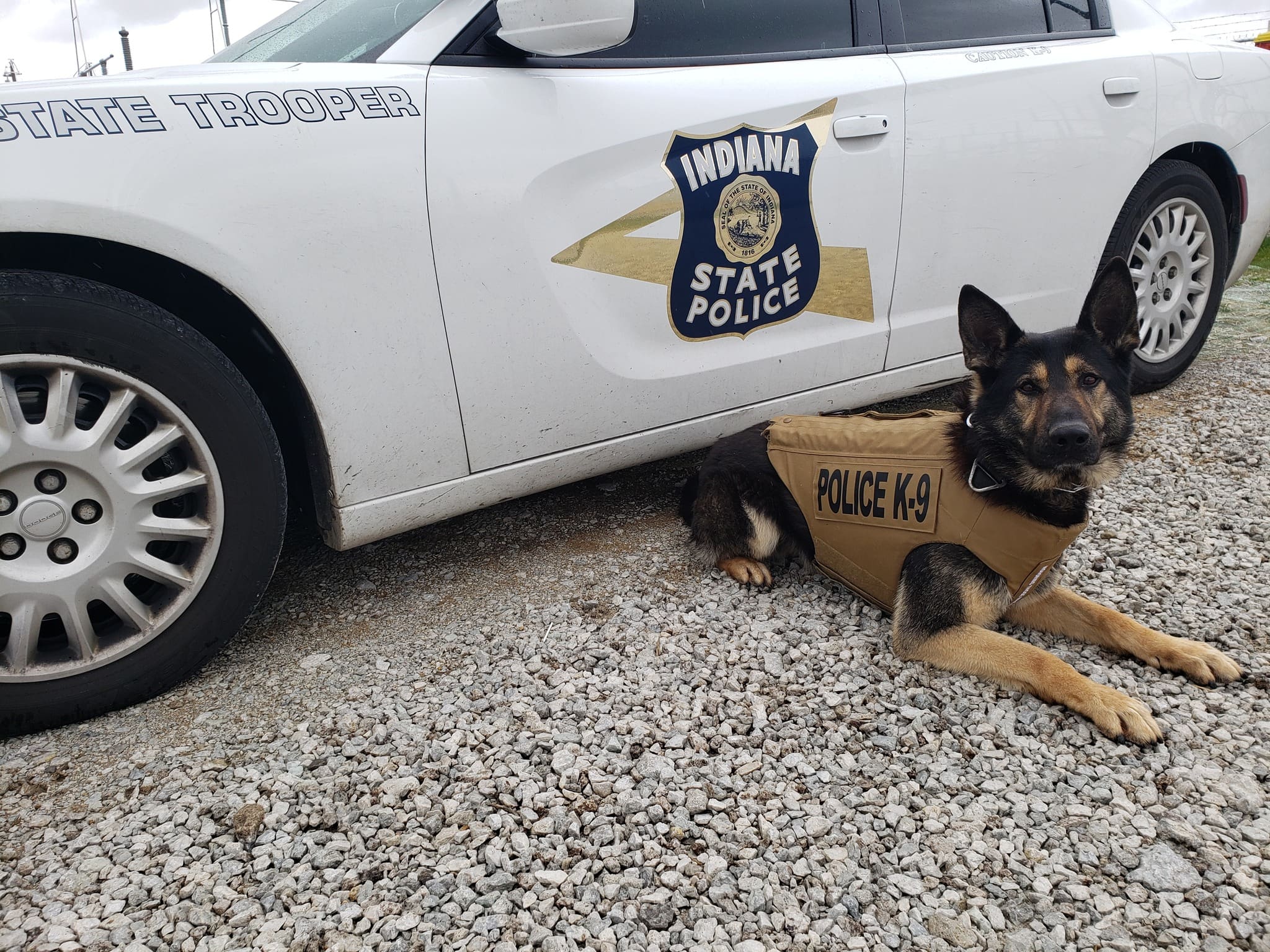 Indiana State Police K9 receives donation of body armor
