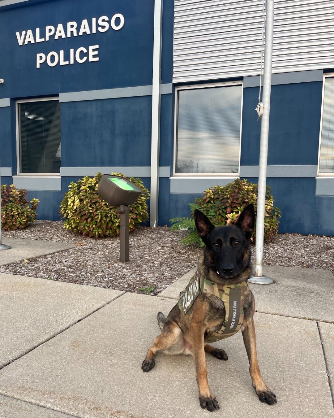 Valparaiso Police Department’s K9 Camo has received donation of body armor