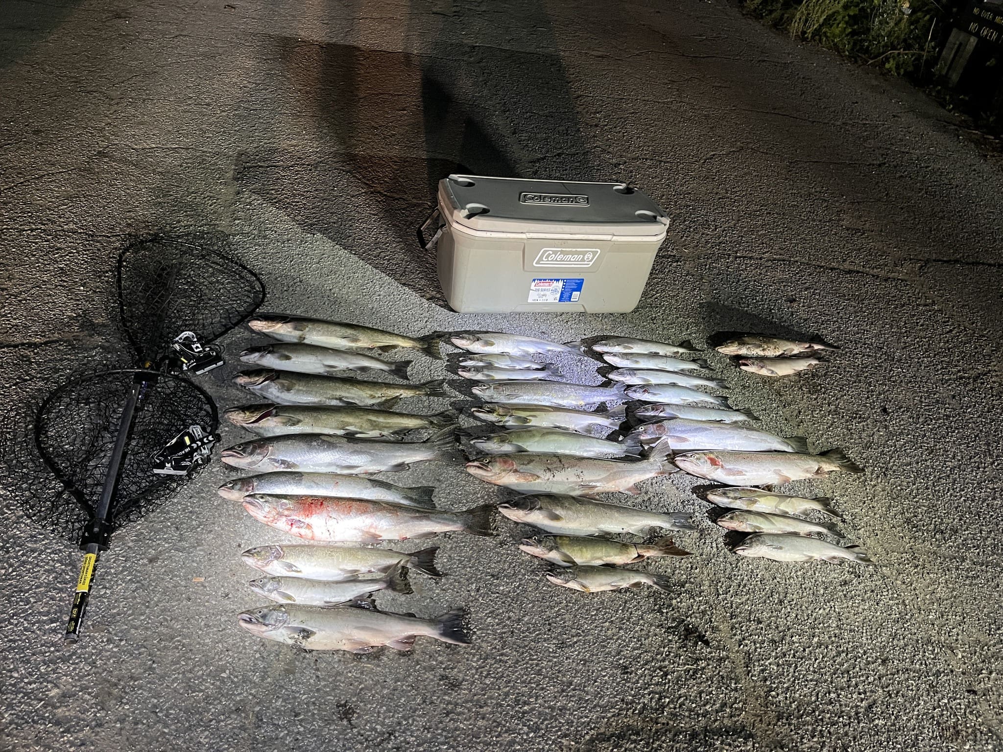 Three people facing charges after netting and taking over the limit of ...